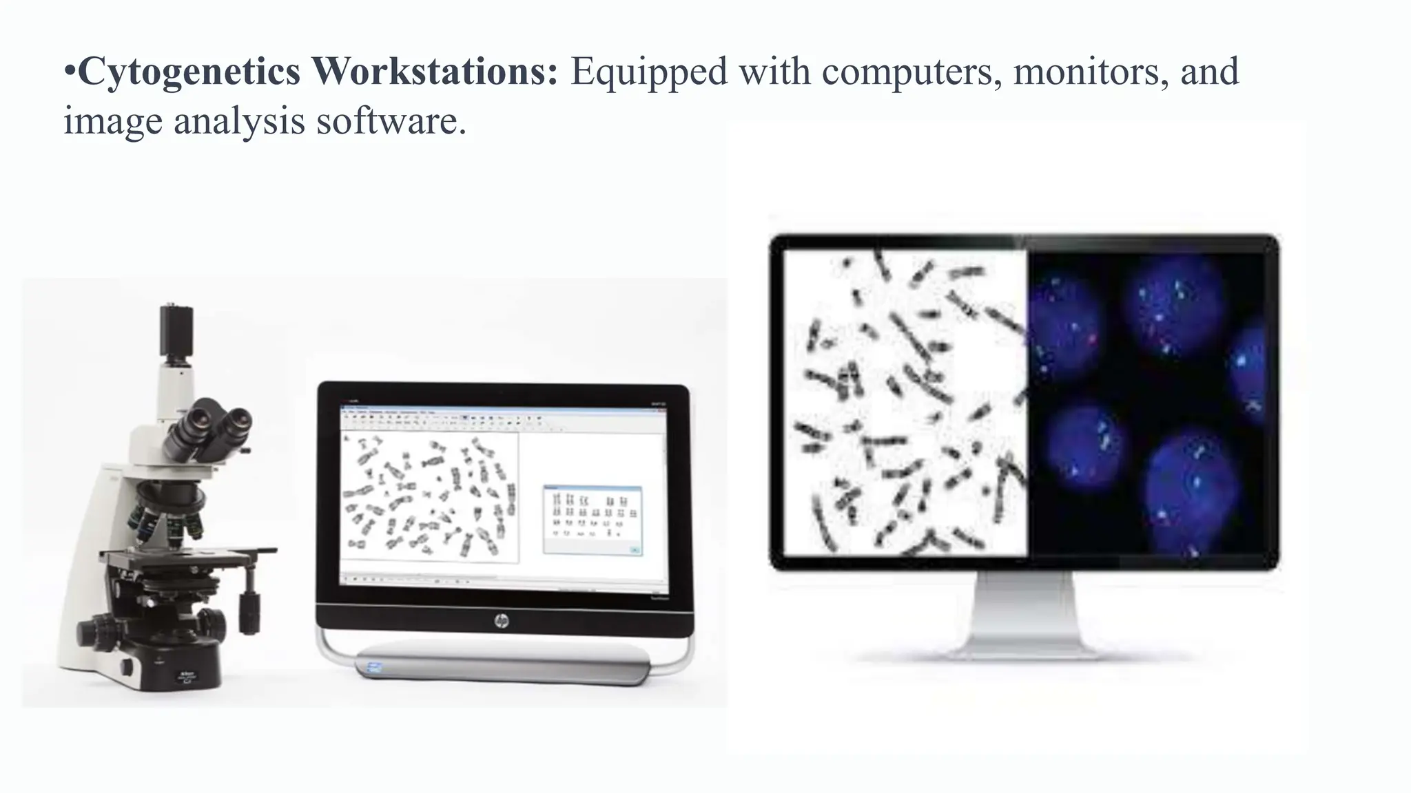 human genetics lab fundementals and basics.pptx