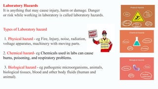human genetics lab fundementals and basics.pptx | Genetics | Science