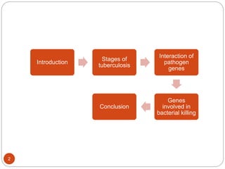 Human genetics of tuberculosis | PPT