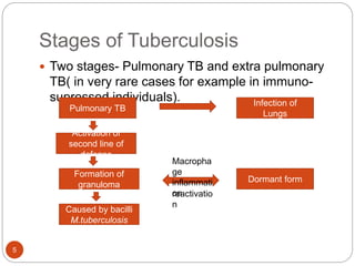 Human genetics of tuberculosis | PPT