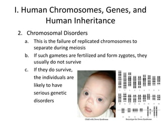 Human genetics unit 4 | PPTX | Infertility | Reproductive Health