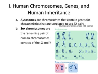 Human genetics unit 4 | PPTX | Infertility | Reproductive Health
