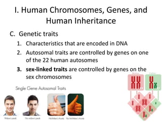 Human genetics unit 4 | PPTX | Infertility | Reproductive Health