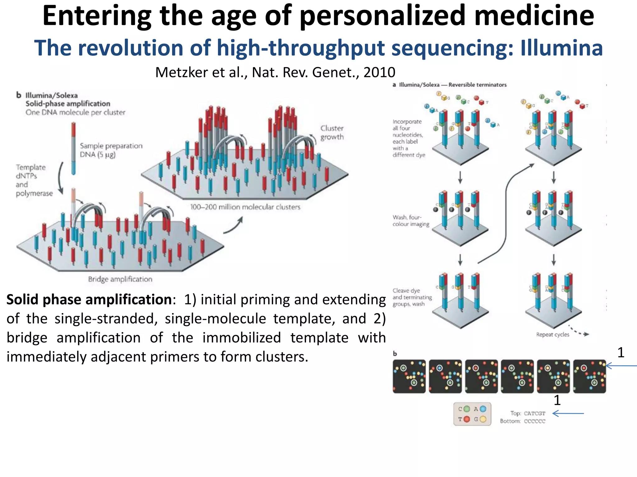 Human genetic variation and its contribution to complex traits | PDF