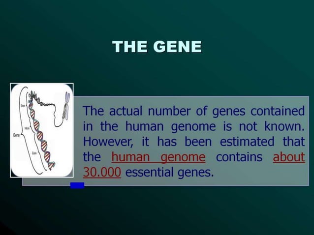 HUMAN GENOME.pptx