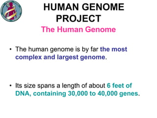 Human genome.pptx