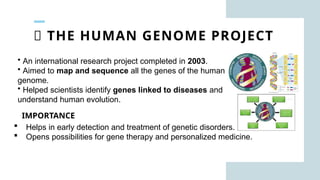 Comprehensive Overview of the Human Genome and Genetic Disorders | PPTX
