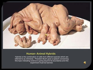 Human Genome 5 | PPTX