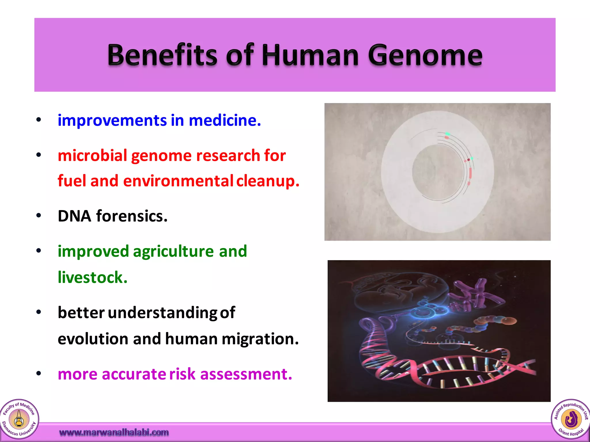 Human Genome | PDF