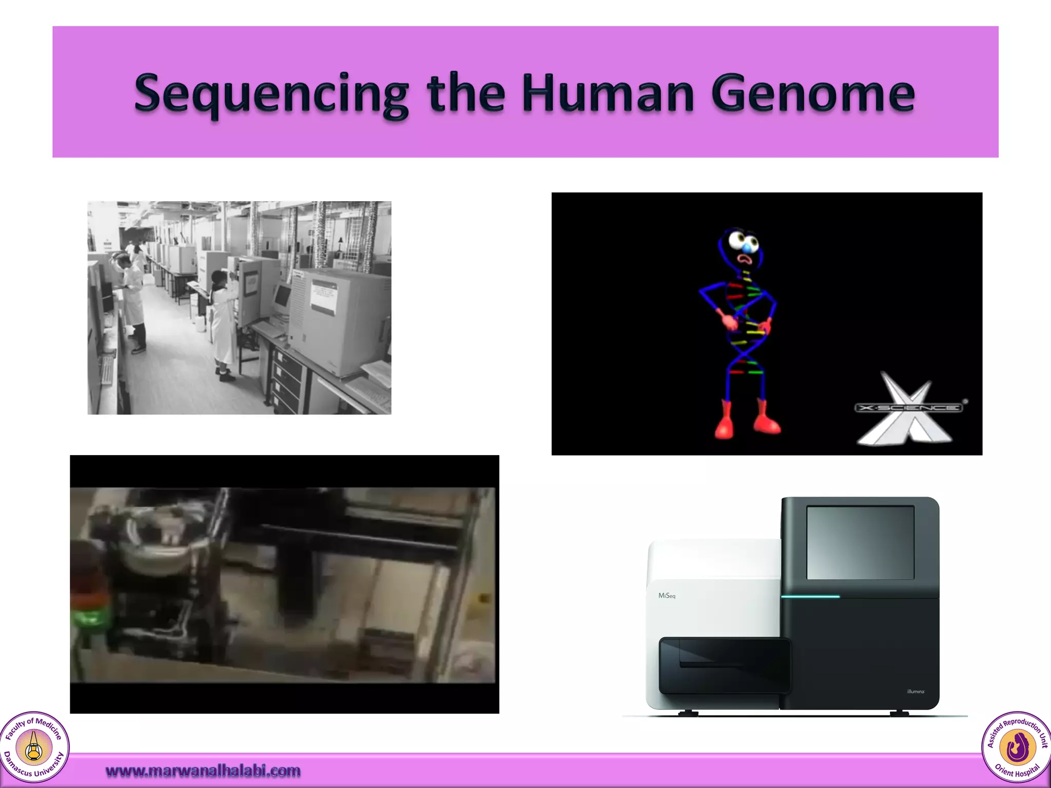 Human Genome | PDF