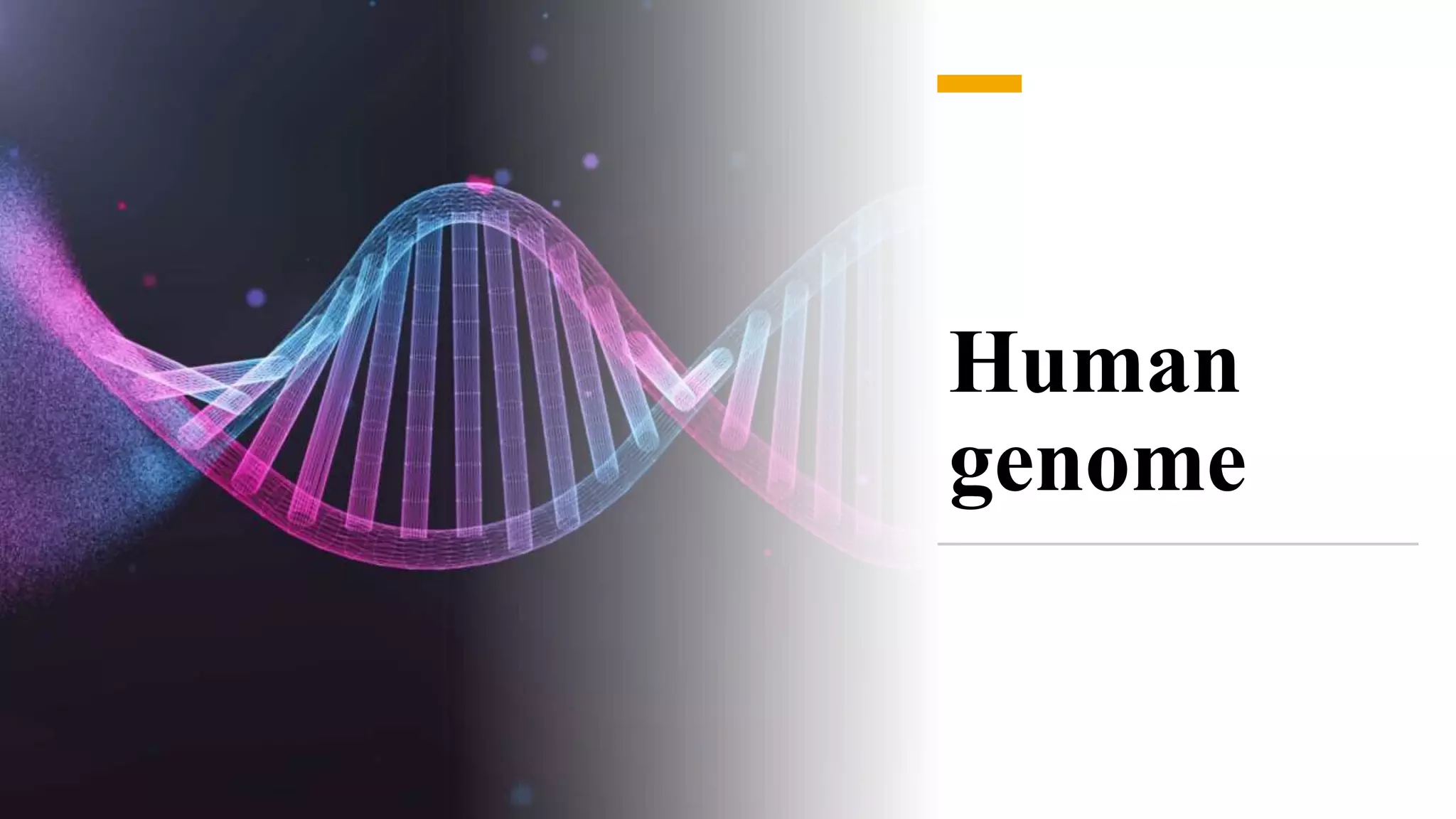 Human Genome presentation.pptx | Biological Sciences | Science