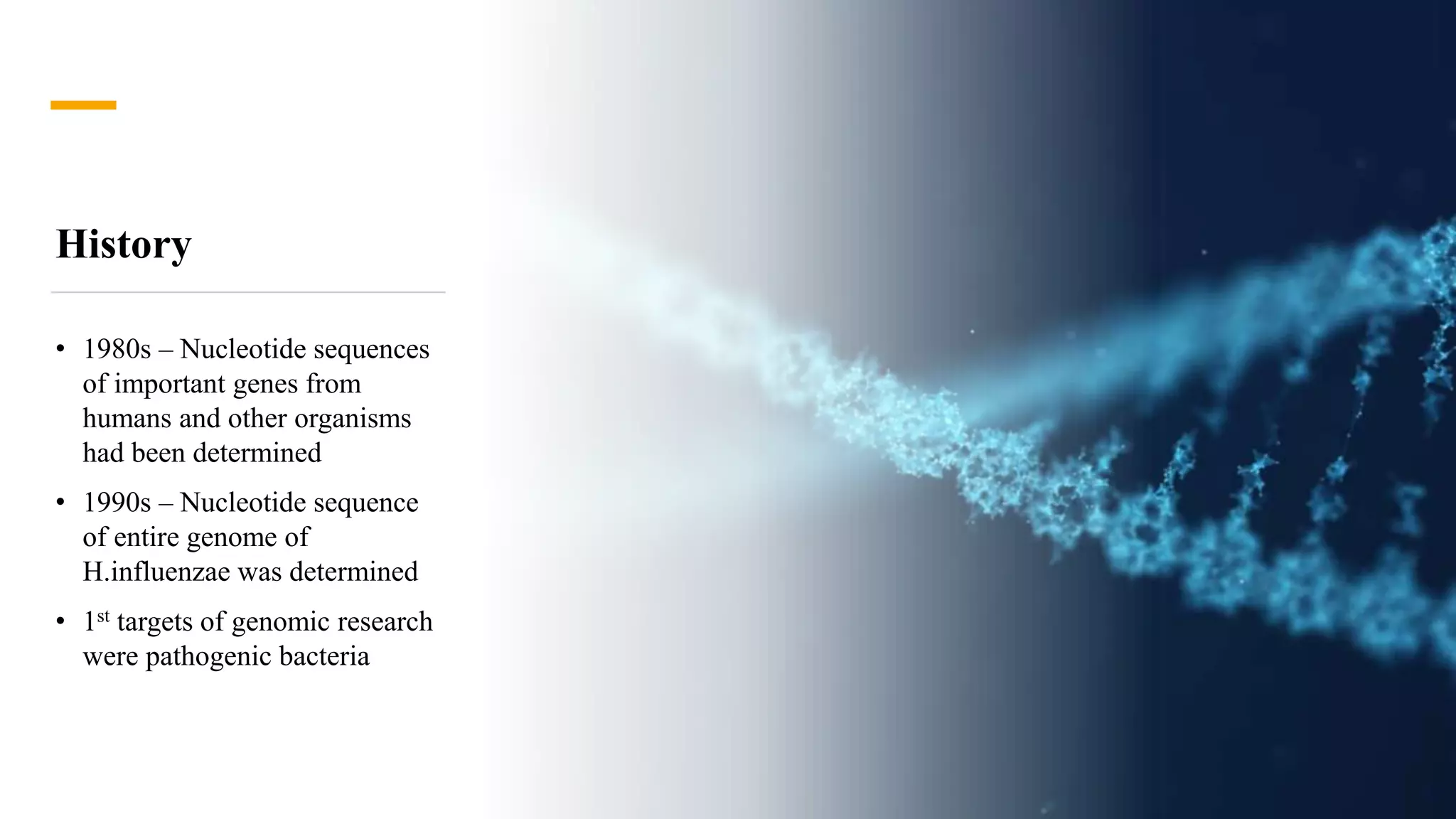 Human Genome presentation.pptx