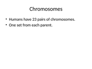 Introduction to Human Genome - Power Point Presentation | PPTX