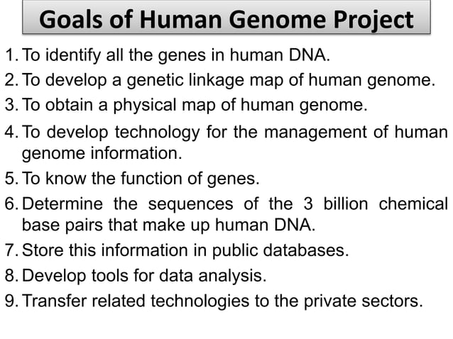 Human genome project | PPTX