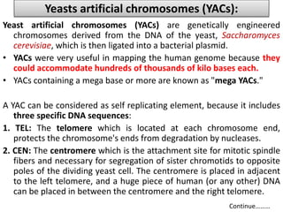 Human genome project | PPTX