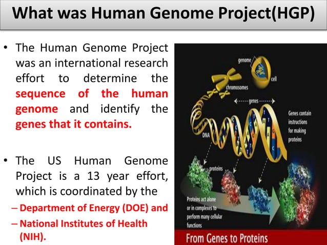 Human genome project | PPTX