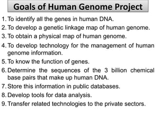 Human Genome Project Goals