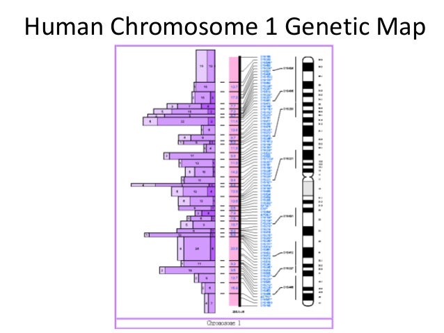 Human genome project
