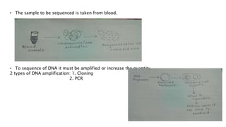 Human genome project - Decoding the codes of life | PPTX | Genetics ...