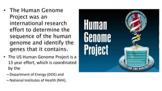 Human genome project - Decoding the codes of life | PPTX | Genetics ...