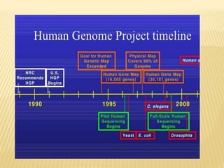 Human Genome Project Timeline