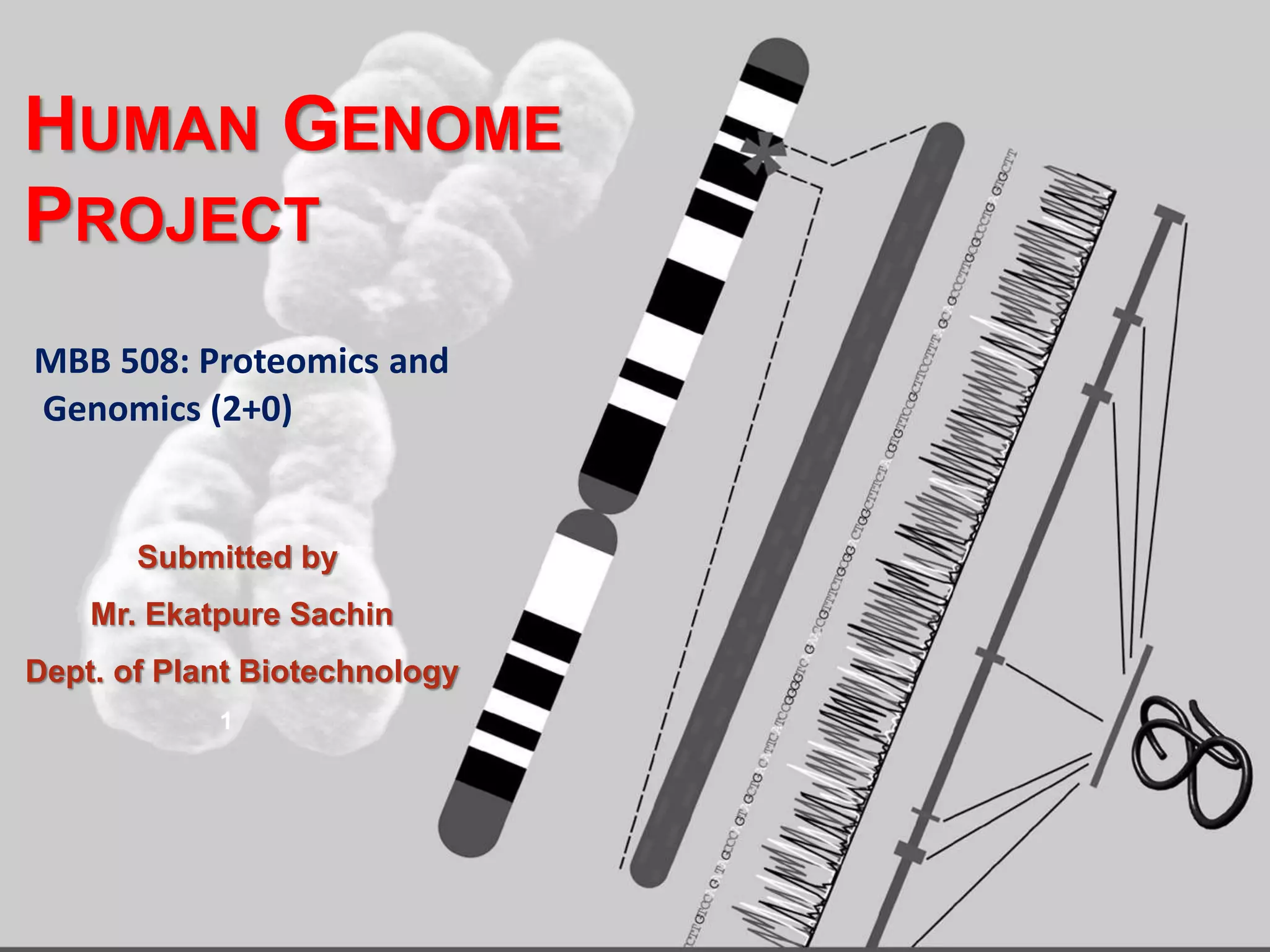 Human genome project | PPT