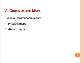 Human genome project | PPTX