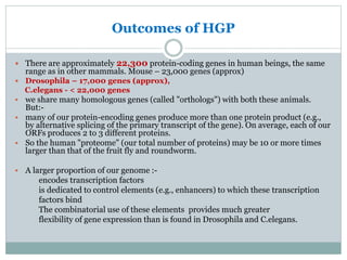 Human genome project | PPTX