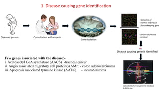 Human genome project | PPT