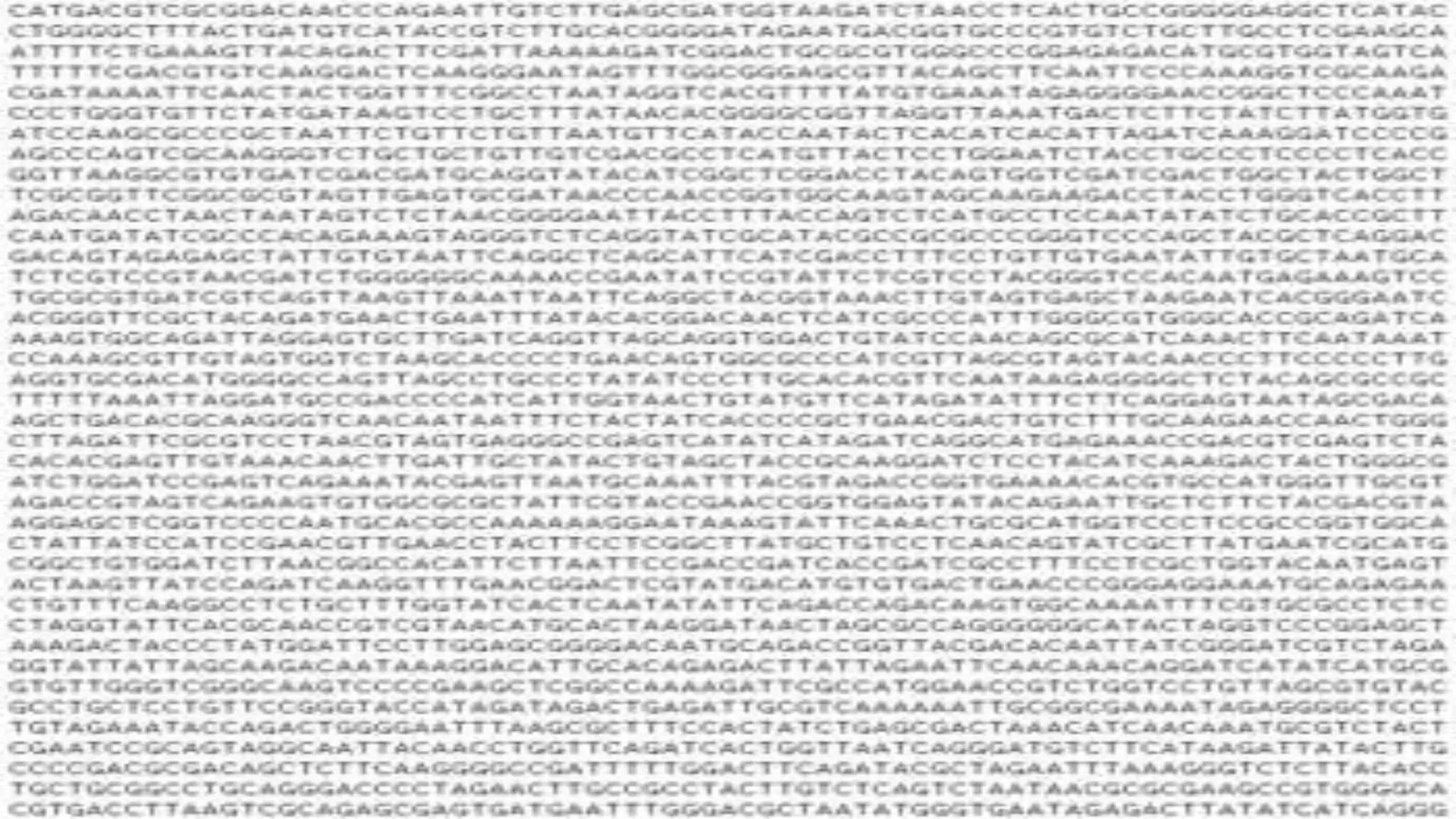 Human genome project by M.Sohail Riaz Hashmi | PPTX