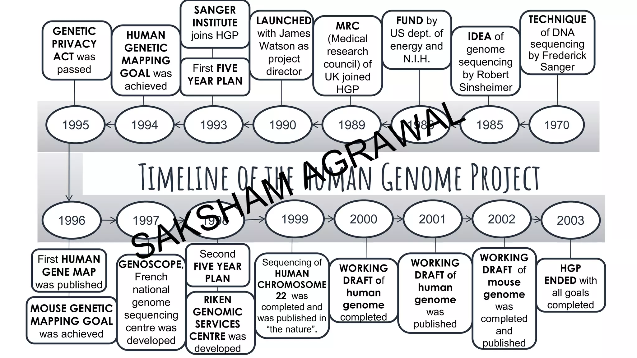 Human genome project | PPTX