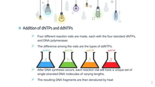 Human genome project | PPTX