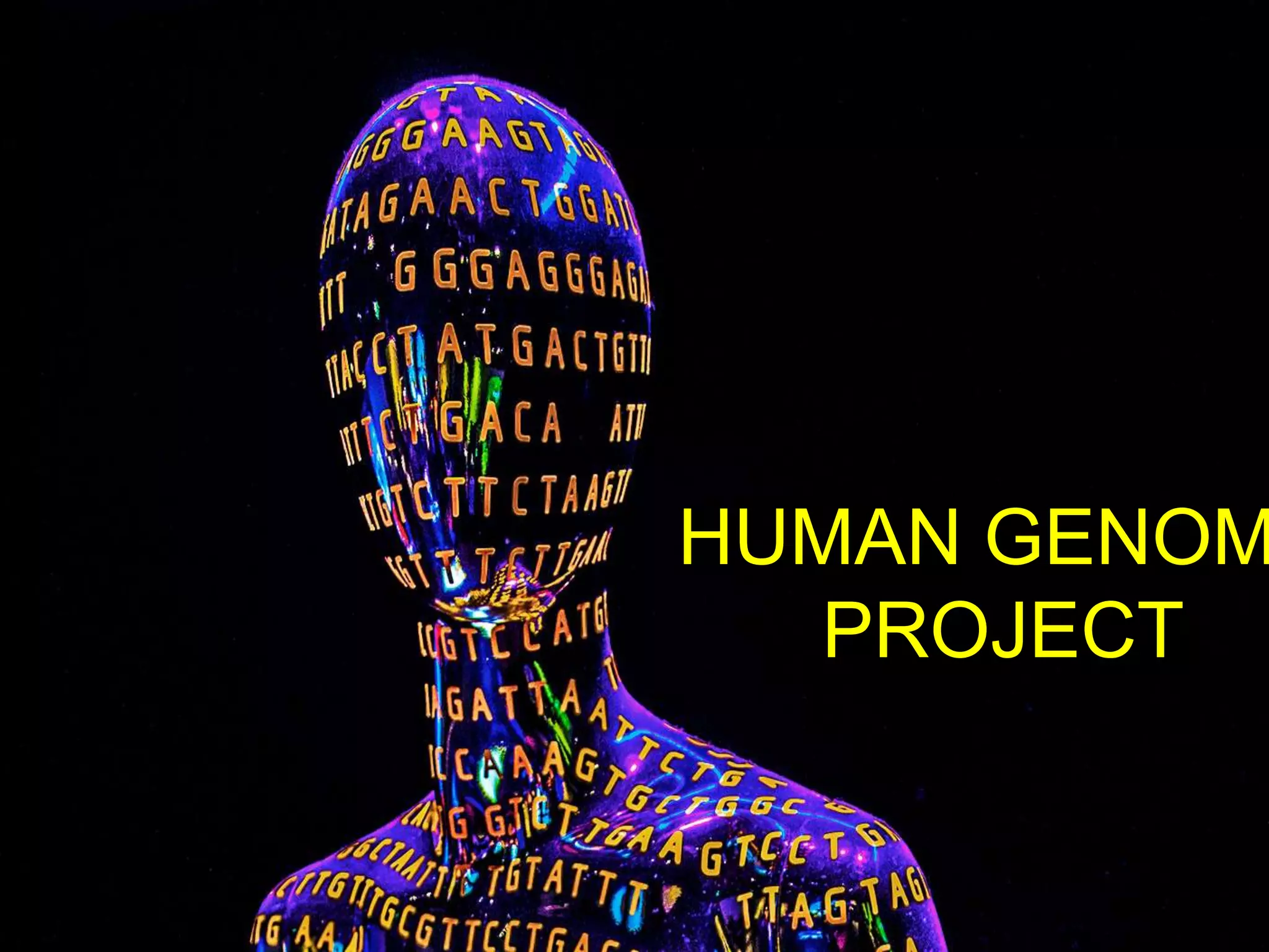 Human genome project | PPT