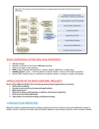 Human Genome Project | DOCX