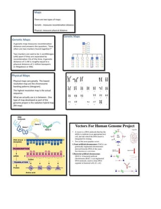 Human Genome Project | DOCX