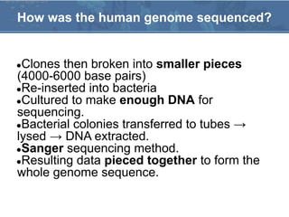 HUMAN GENOME PROJECT.ppt.pdf
