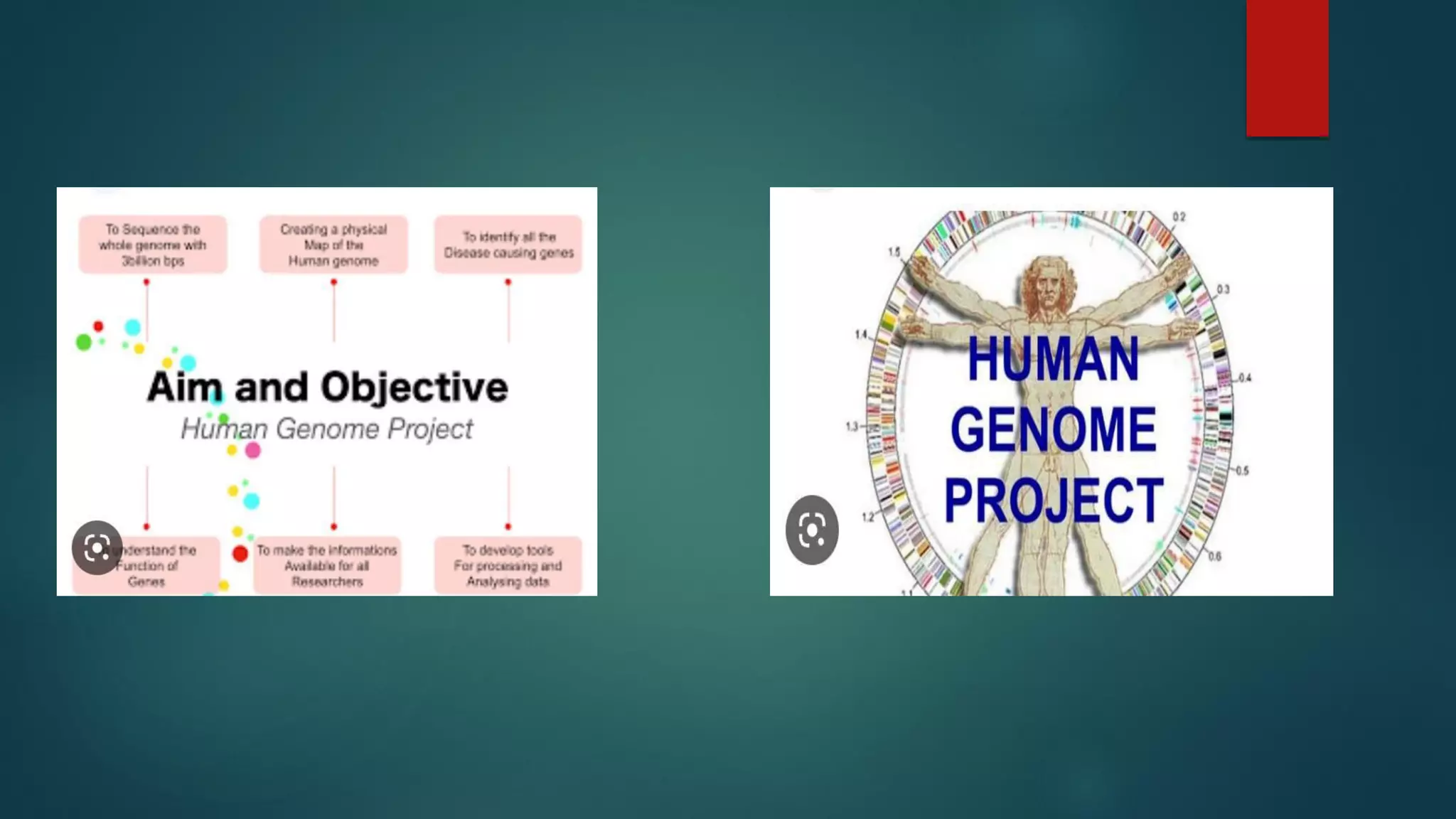HUMAN GENOME PROJECT .pdf