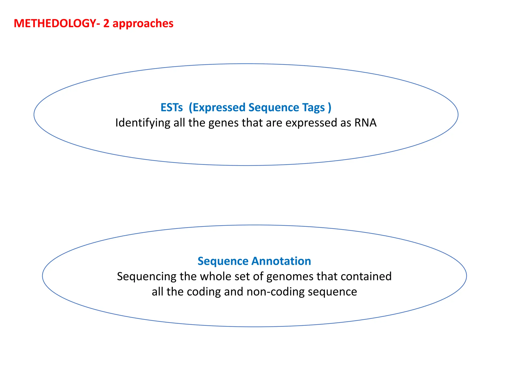HUMAN GENOME PROJECT Class XII Biology.pptx