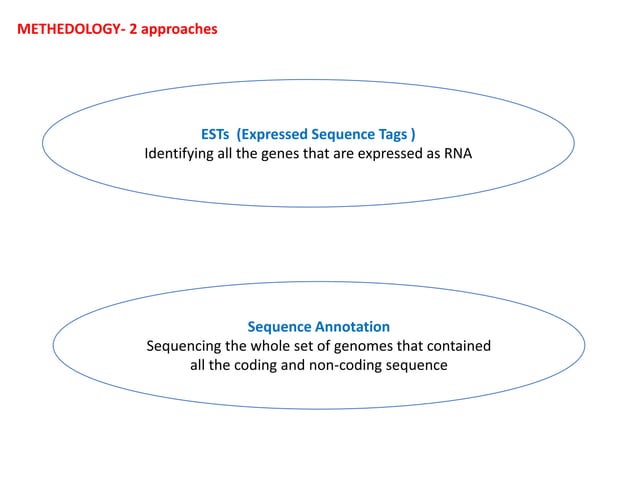 HUMAN GENOME PROJECT Class XII Biology.pptx