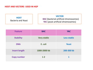 HUMAN GENOME PROJECT Class XII Biology.pptx