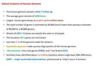 HUMAN GENOME PROJECT Class XII Biology.pptx