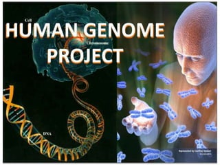 Human_genome_project---------------.pptx