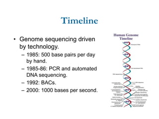Human_genome_project---------------.pptx