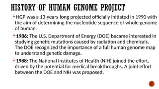 Human Genome Project, Everything You Should Know | PPTX
