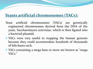 Human genome project (2) converted | PPT | Free Download