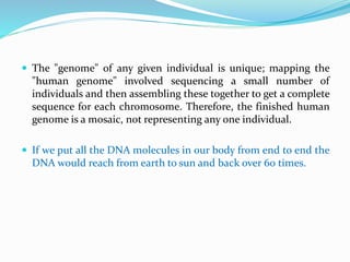 Human genome project (2) converted | PPT | Free Download