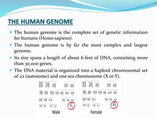 Human genome project (2) converted | PDF
