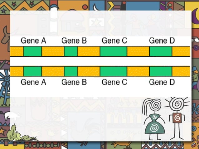 Human genome project 2007 | PPT | Genetics | Science