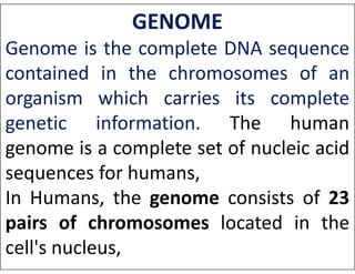 HUMAN GENOME PROJECT AND GENE THERAPY.pdf