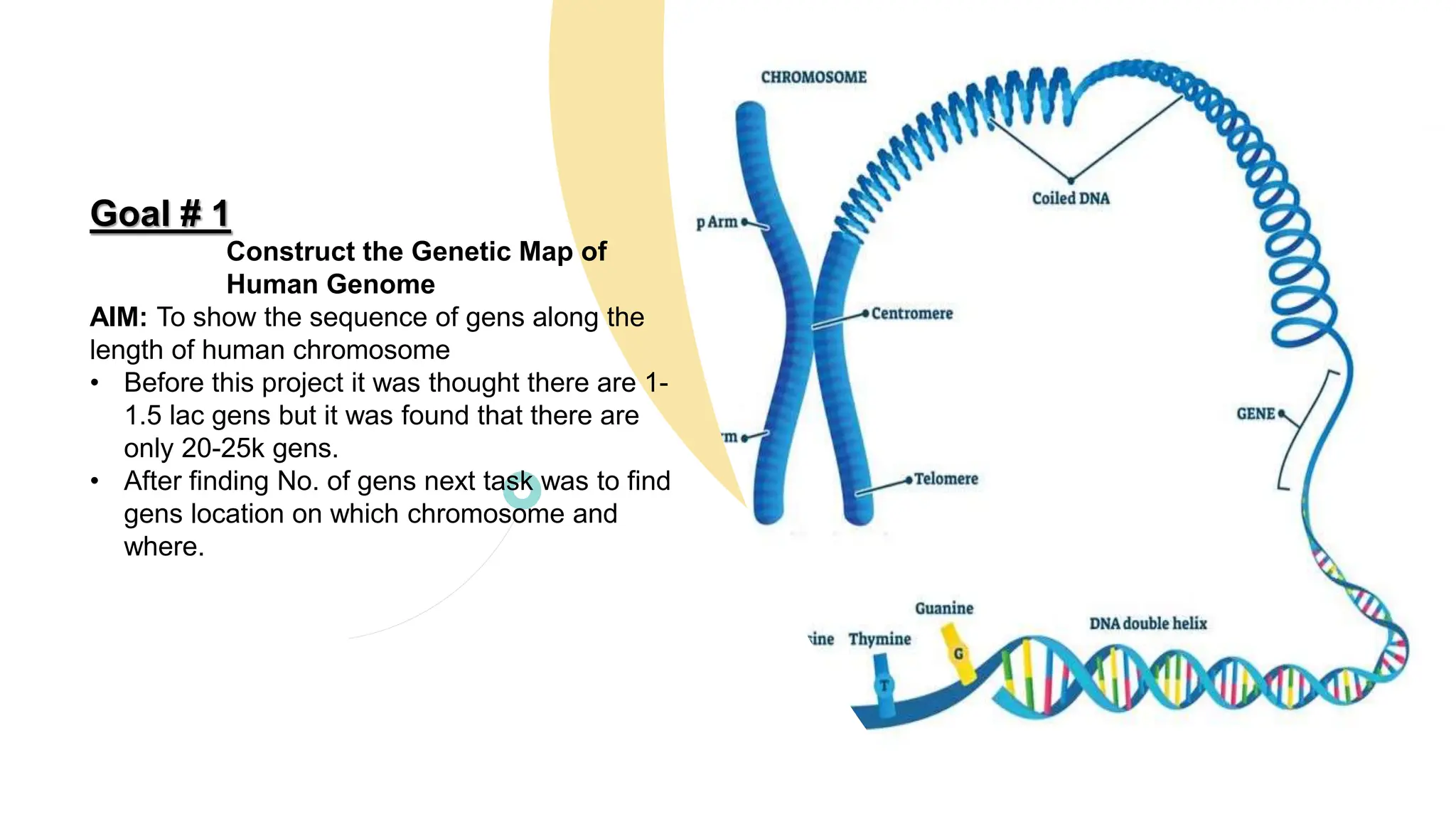 Human Genome Project Assignment Topic.pptx